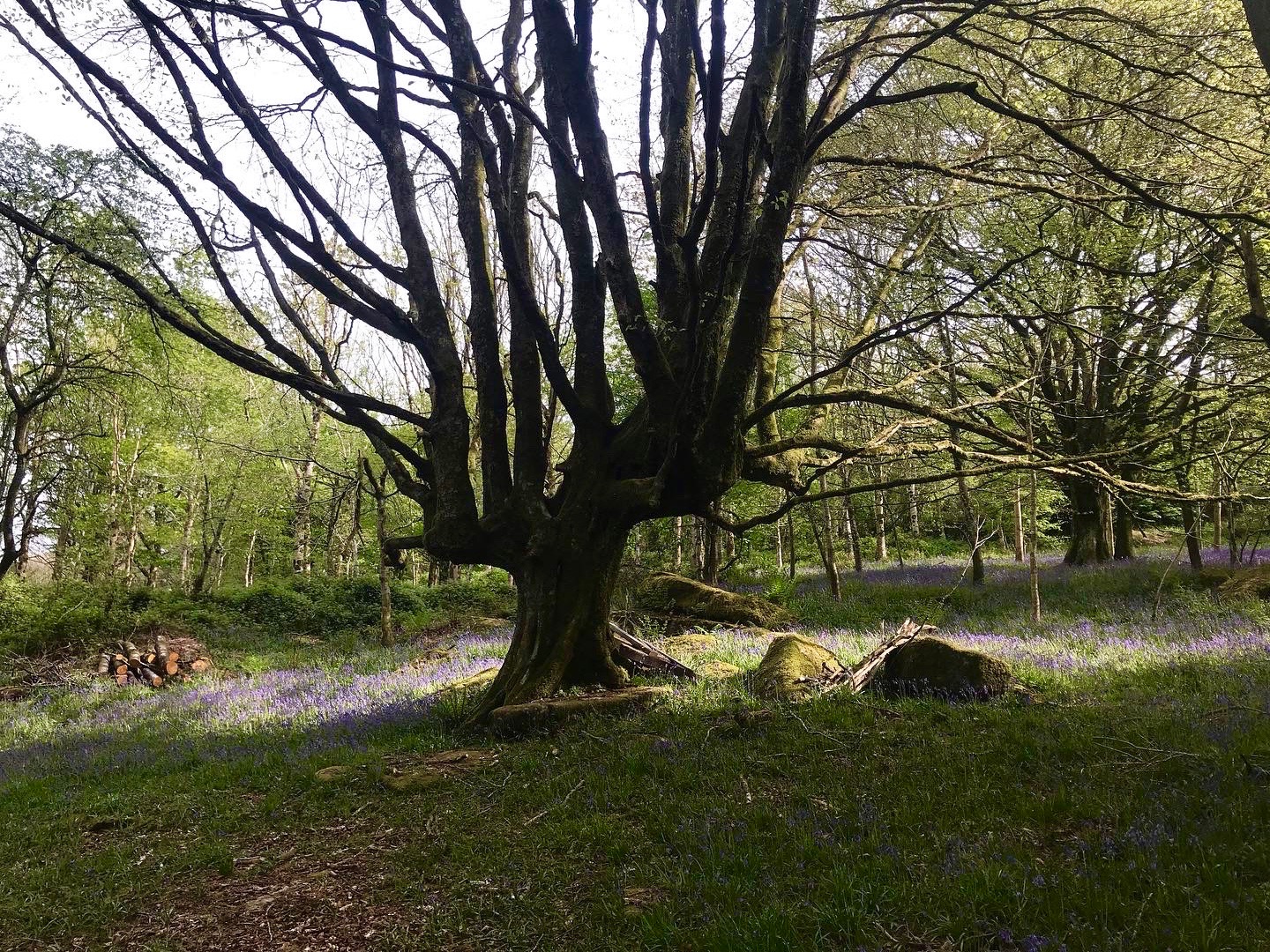 Things to Do - Yurtworks, Cornish Yurt Holidays